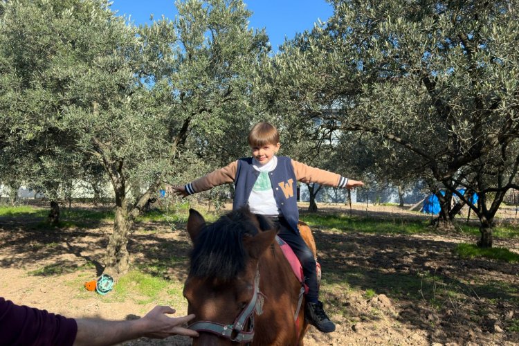 Dıgıdık ve Tıfıllar Zeytin Ormanında - Habermanisa.com